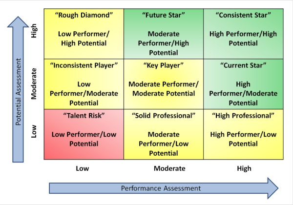 Limited Potential Does Not Limit Options Use The 9 Box To Develop Talent In Succession Planning