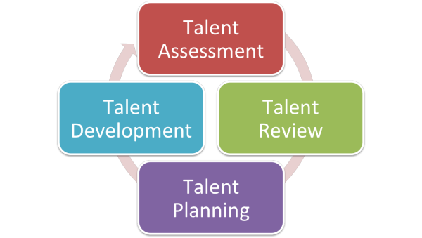Development at the Top - Use the 9 Box to Develop Talent in Succession ...