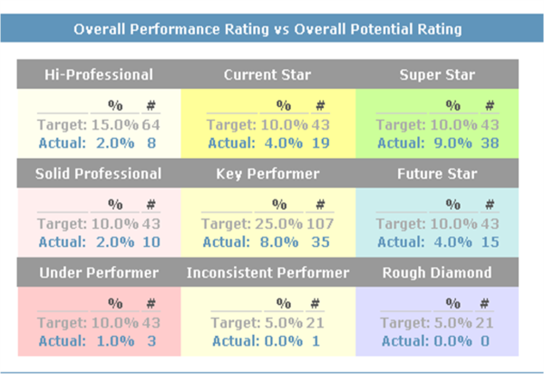Succession Planning: Living the 9 Box Dream